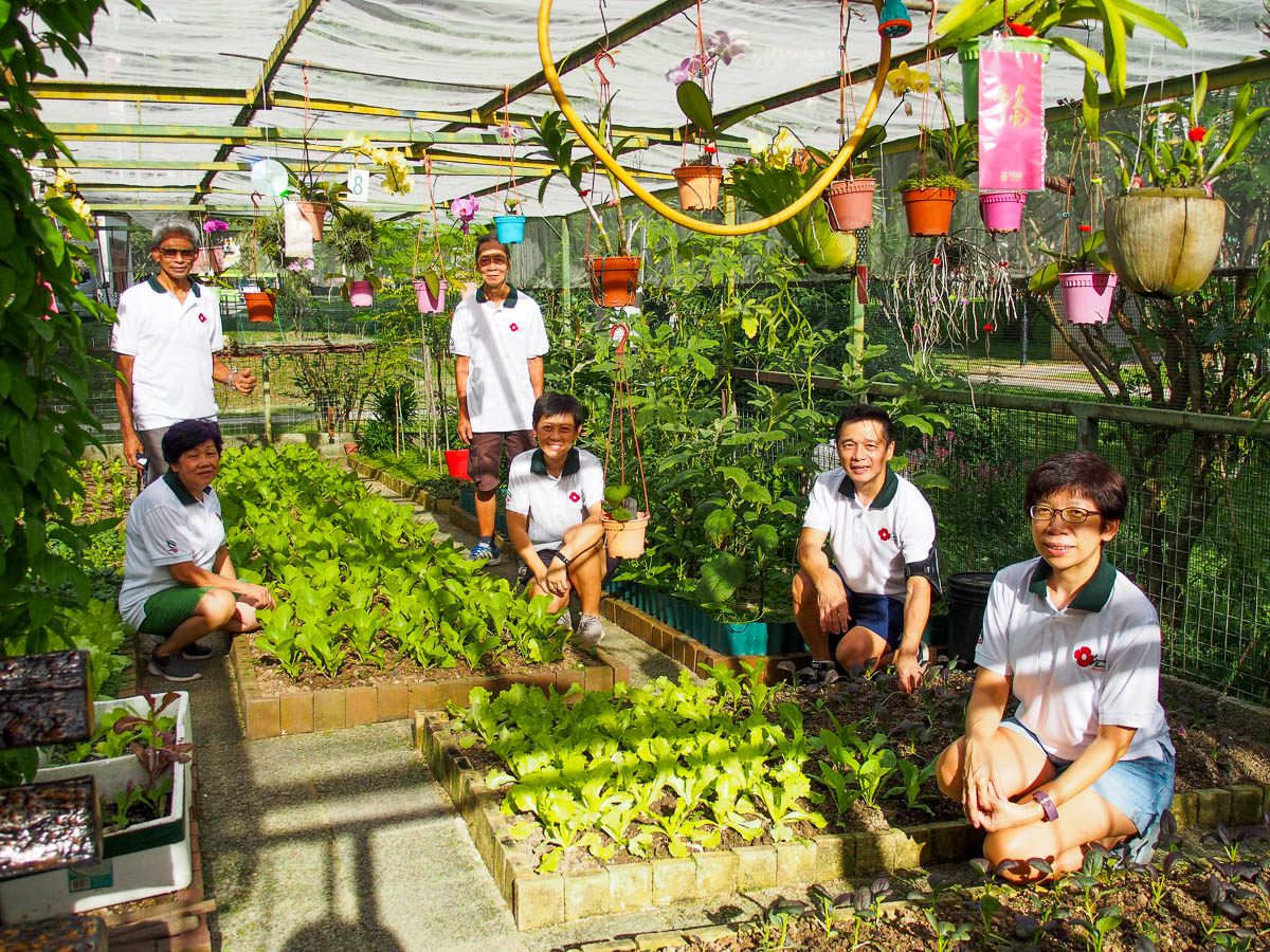 Managing a Community Garden Group